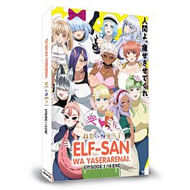 Buy Plus-Sized Elf DVD - $16.99 at PlayTech-Asia.com